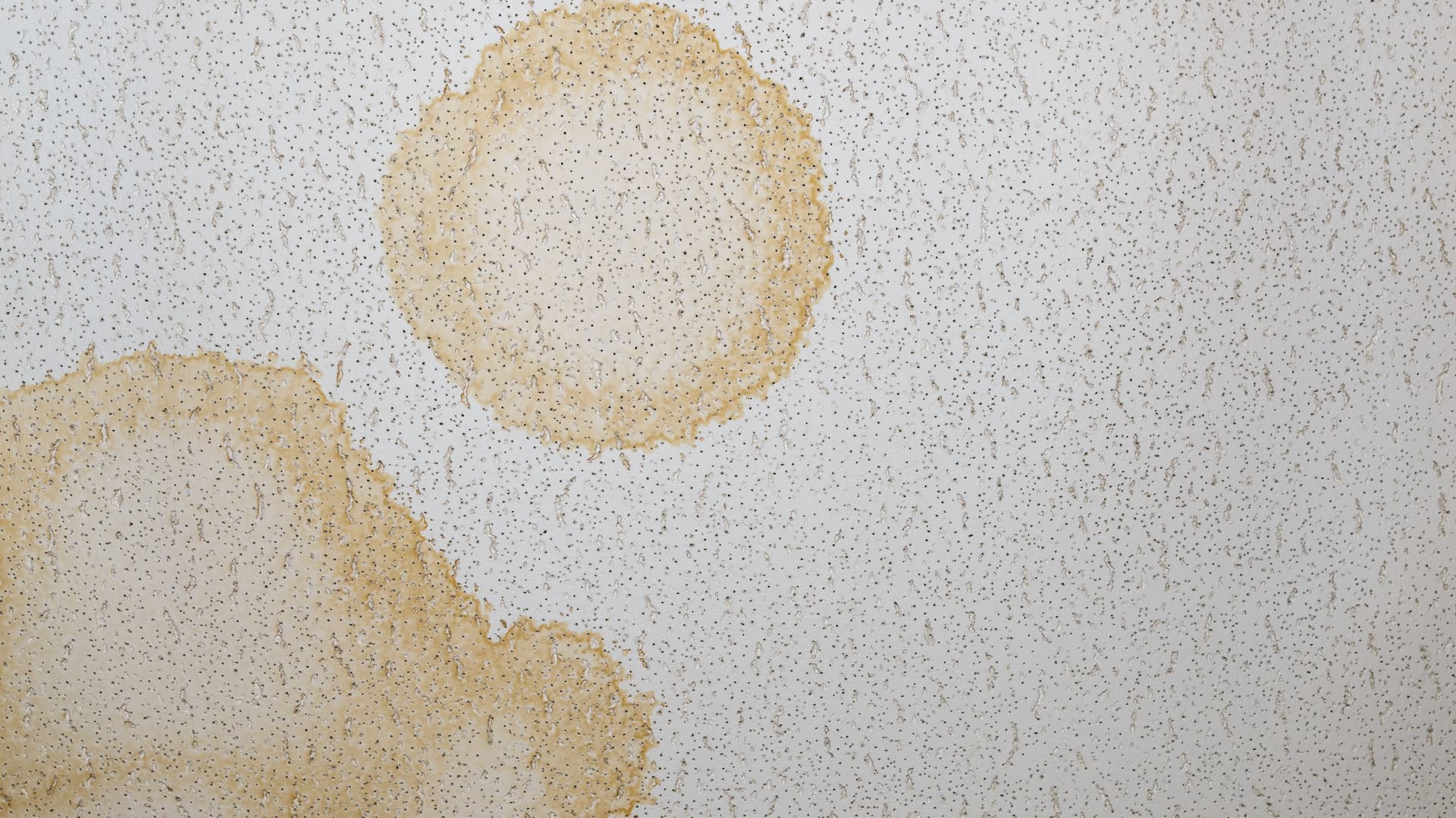 Expert Residential Roof Repair Services | Five Guys Roofing